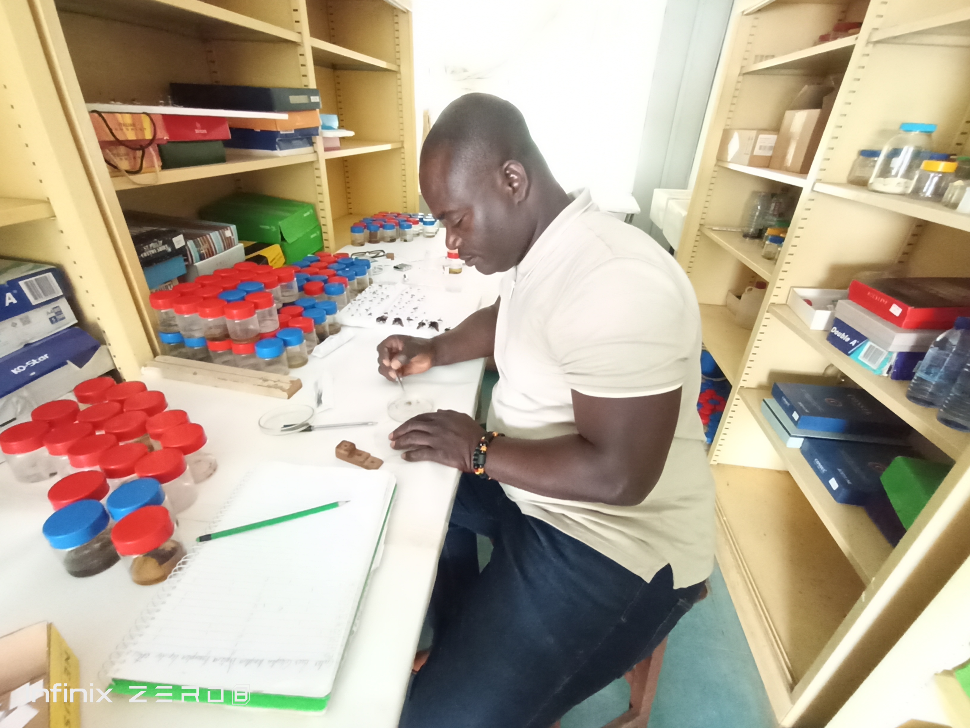 Bees and honey production in cocoa growing areas in Ghana