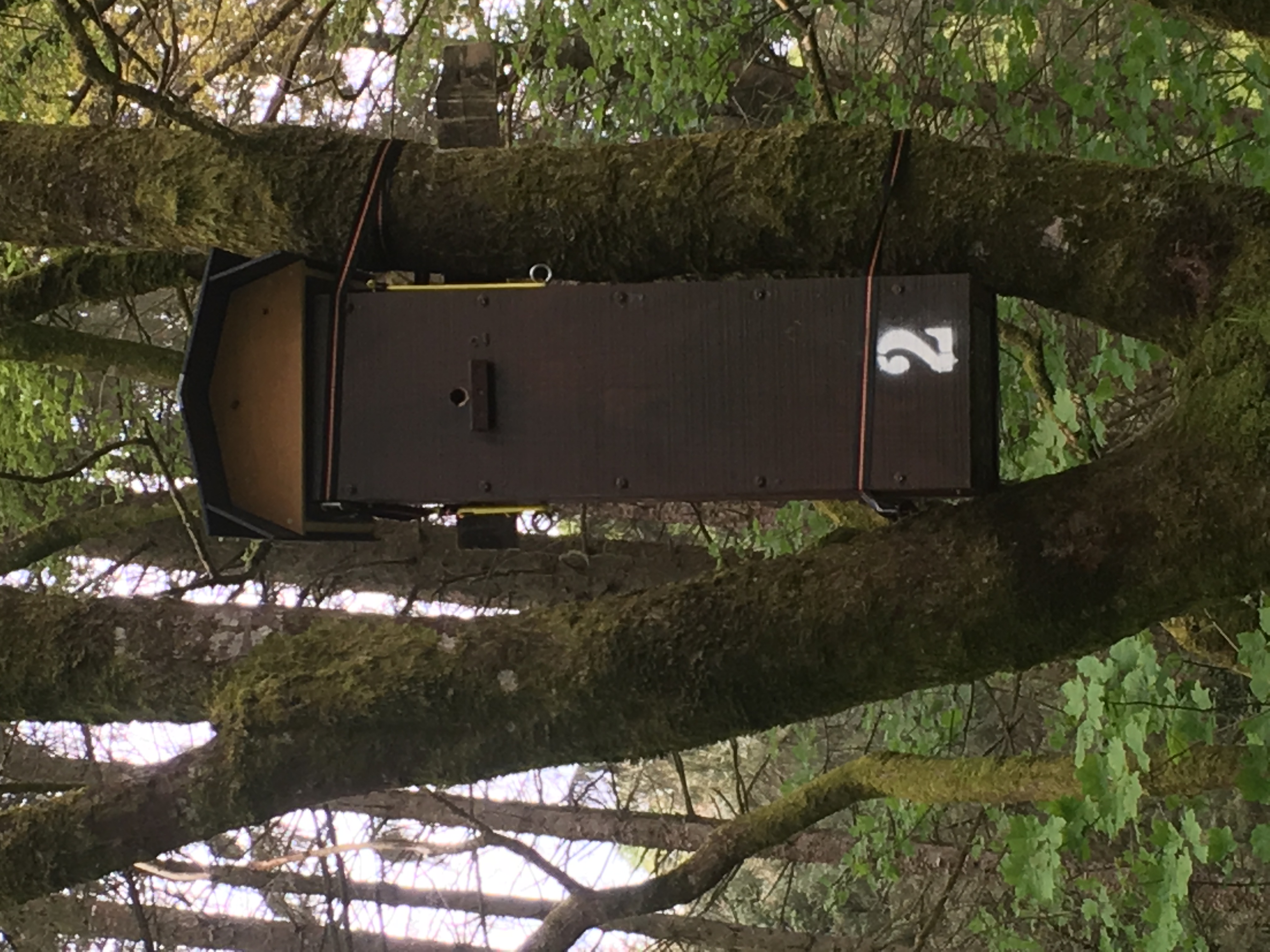 The Fermanagh Wild Bee Project