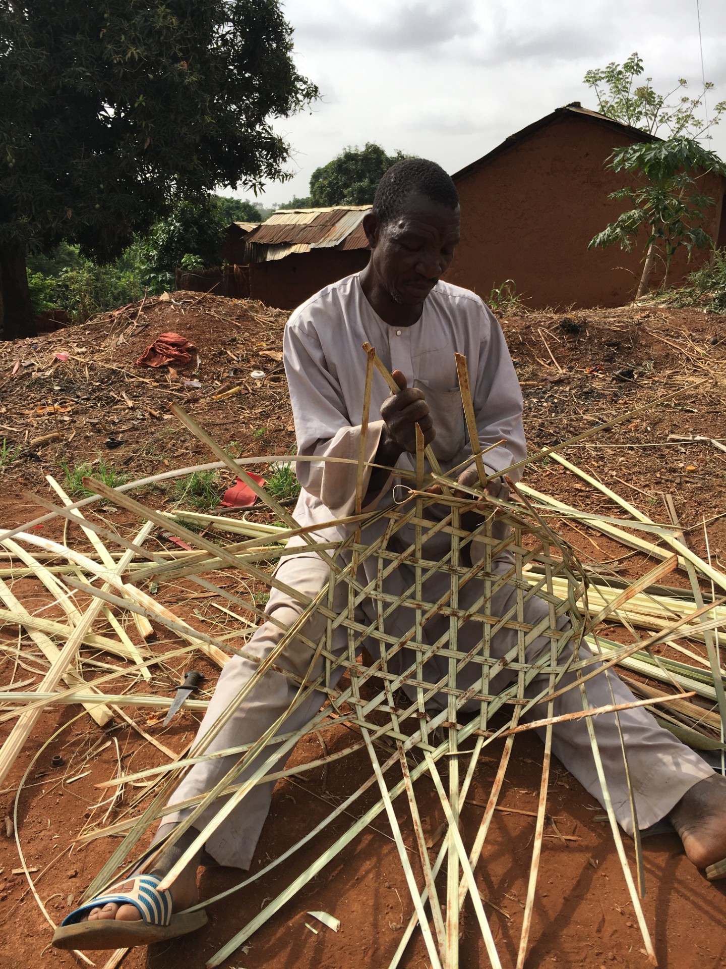 Bee-Cultures: Ethnographic Research on Humans and Honeybees in Cameroon ...