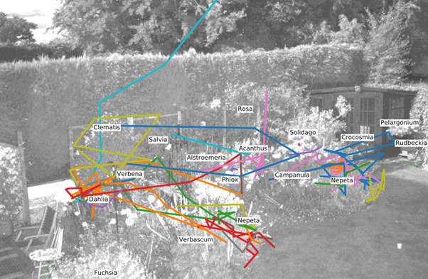 Improved Retroreflector Based Tracking for Bees