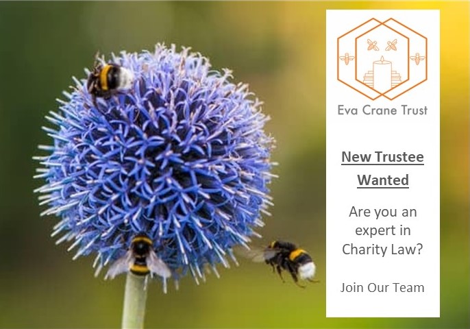 We are seeking a new Trustee