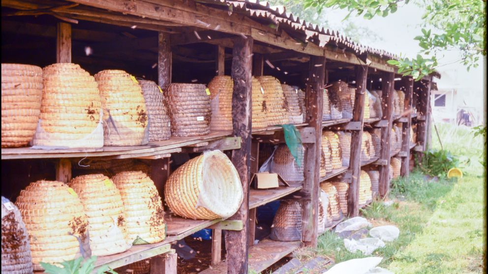 Historical Collection